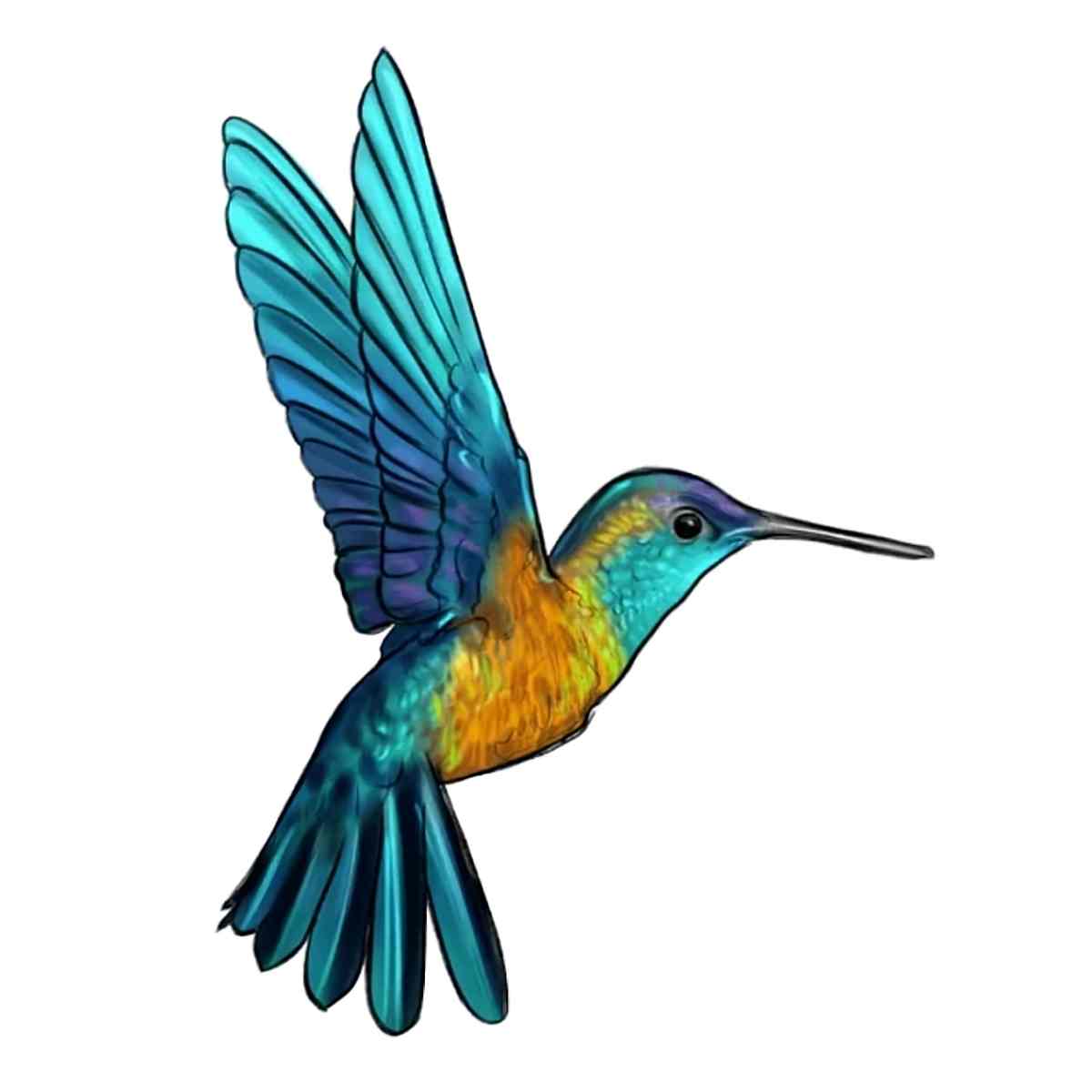 Colibri - Puzzle – Craft Hub FR